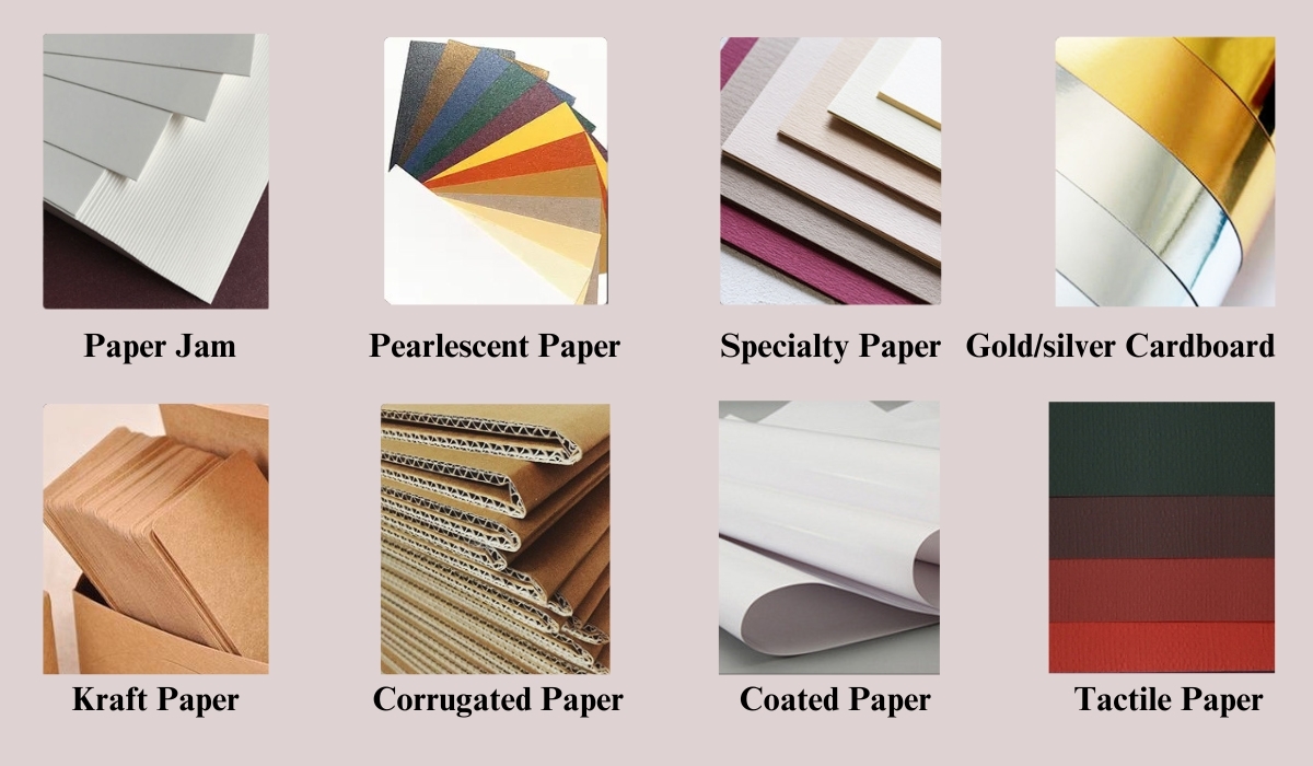Understanding Lingerie Packaging: Forms, Materials, and Processes